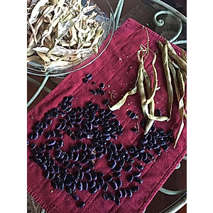 Gaea's Blessing Seeds - Scarlet Runner Bean Seeds - Non-GMO Seeds for Planting with Easy to Follow Instructions 94% Germination Rate