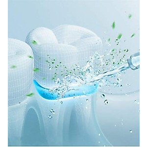 Panasonic WEW0982X503 Replacement Nozzle WEW0982X503 (Pack of 2) for EW1611 Oral Irrigator Original Accessories