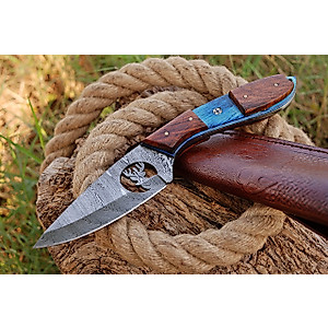 TMBrands Damascus Hunting Knife - Handmade Knife, Hand forged Fixed Blade Knife, Camping Knife & gift Knives - Hunting Knives & Bowie Knives with Rose Wood Handle & Knife Sheath