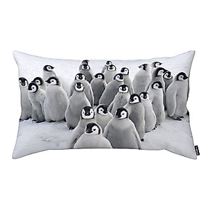 Yekiua Funny Penguin Throw Pillow Covers Antarctic Snow Cold Cute Animal Pillowcase Pillow Shams Cushion Case Single Side Printing 20X26 Inches Standard Size
