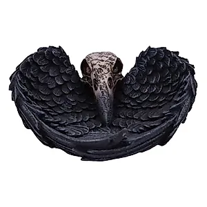Nemesis Now Edgar Allan Poe's Nevermore Raven Skull Trinket Holder, Gothic Jewelry Dish, Hand-Painted Resin, 17cm