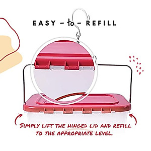 Harris Farms 1000310 Cup-A-Water, 4 Gallon Poultry Drinker, RED & Manna Pro Crushed Oyster Shell | Egg-Laying Chickens | 5 LB