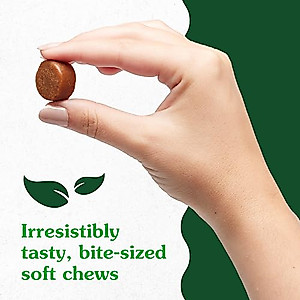 Greenies Supplements Hip and Joint Supplements for Dogs, Chicken Flavor, 30 Count Soft Chews Dog Joint Supplements, 6.08 oz.