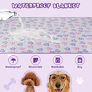 YUEPET Waterproof Dog Blankets, 2 Pack Washable Dog Blankets for Bed Couch Sofa Protector Fleece Flannel Puppy Blanket Soft Plush Reversible Throw Blanket for Small Dogs Puppy Cat 23"×16"(Purple+Pink)