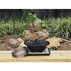 Anodized Aluminum 4.0mm Bonsai Training Wire 250g Large Roll (23 feet) - Choose Your Size and Color (4.0mm, Brown)