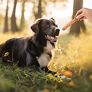 ASMPET Dog Treats, Chicken Wrapped Cod Skins for Dogs Fish Skin Dog Treats Rich in Omega3 Rawhide Free Grain Free All Natural Dog Treats Healthy for Small Medium Large Dogs (5 pcs,10.6 oz)