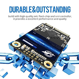 SSD mSATA 512GB Dogfish Internal Solid State Drive High Performance Hard Drive for Desktop Laptop SATA III 6Gb/s Includes SSD 16GB 32GB 60GB 64GB 120GB 128GB 240GB 250GB 480GB 500GB (512GB MSATA)