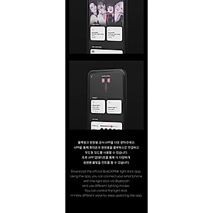 Blackpink Official Light Stick Ver.2 Outbox+Light Stick+Trackin Sealed Black Pink