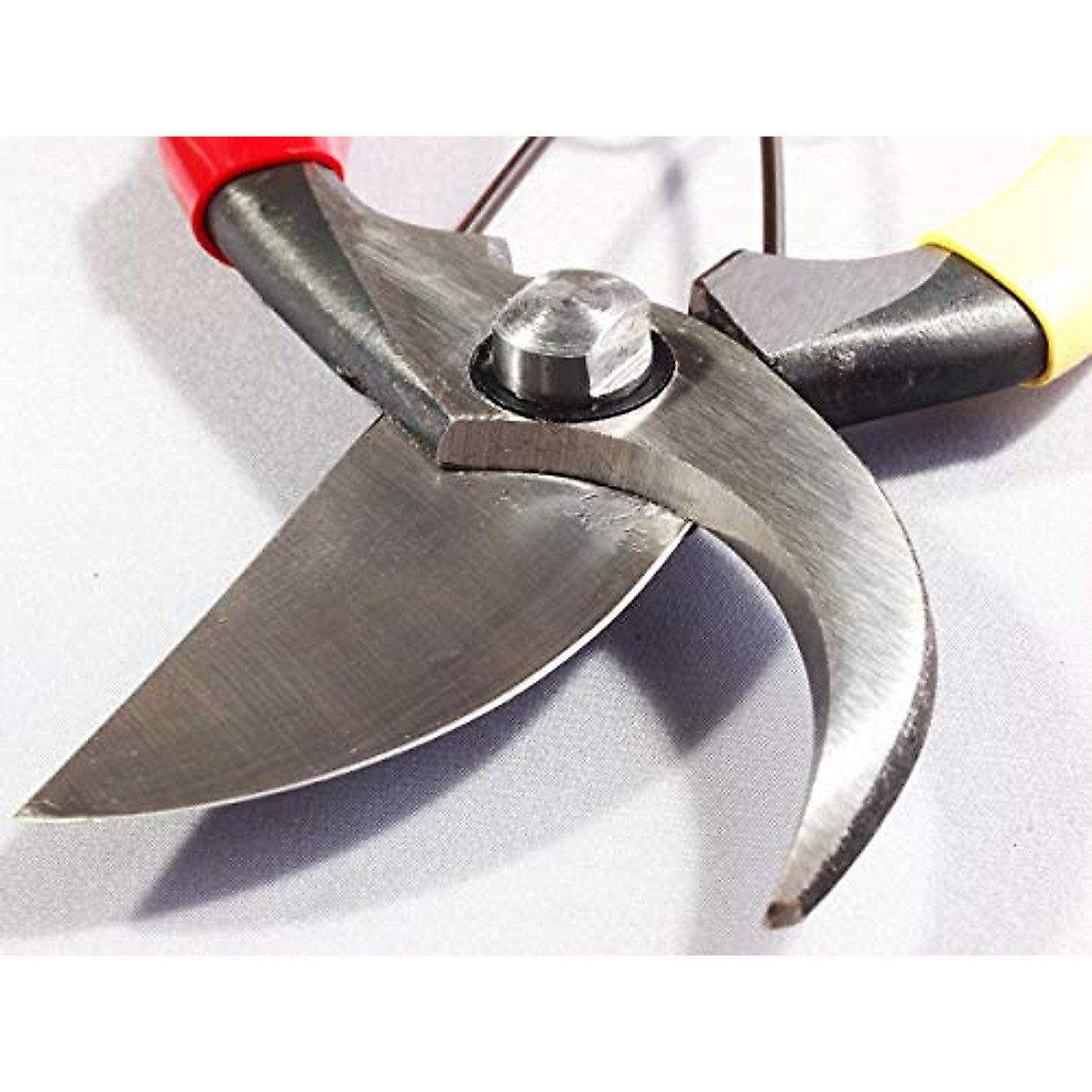 Tobisho Pruning Shears SR-1 200mm Bonsai