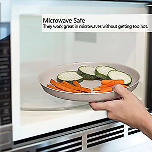 Homestockplus 9 Inch Dinner Plates,BPA-Free Wheat Straw Plates,Off White Plate Set Dishwasher and Microwave Safe Plates - Set of 8 【Non Ceramic】