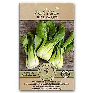 Gaea's Blessing Seeds - Bok Choy Seeds (2.0g) Canton Pak Choi Chinese Cabbage Non-GMO Seeds with Easy to Follow Planting Instructions - Heirloom 90% Germination Rate
