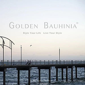 Golden Bauhinia Linen Fabric Collapsible Storage Bins with Lids - Multi-Purpose Organizer Containers for Home, Bedroom, Closet, Office, and Nursery (17.3’’x 11.8’’x 11.6’’)