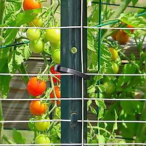 MTB Metal Fence Post Fence U Post Green 4 Feet, Pack of 5, for Garden Wire Fence U-Channel Steel Garden Post Sign Post