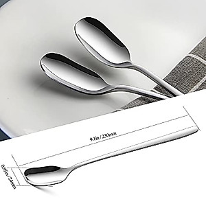 Long Handle Ice Tea Spoons,9.1-Inch Tea Spoons,Coffee Spoon,Ice Cream Spoon,Stainless Steel Cocktail Mixing Spoons for Cold Drink, Set of 4