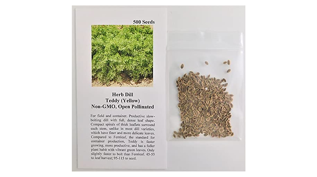 Buy David's Garden Dill Teddy Seeds - Non-GMO, High Yield