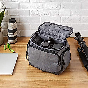 Amazon Basics Large DSLR Camera Gadget Bag - 11 x 6 x 8 Inches (Gray)