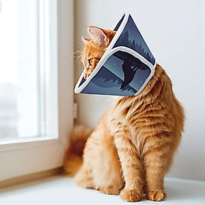 Wolf in Mountains Landscape Comfortable Dog Cone Cat Collar Adjustable Prevent from Licking Wounds XL