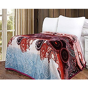 DaDa Bedding Flannel Faux Mink Fleece Throw Blanket - Bohemian Paisley Dreams Silky Soft - Bright Vibrant Floral - Multi Colorful Red Burgundy & Blue - 66" x 90"