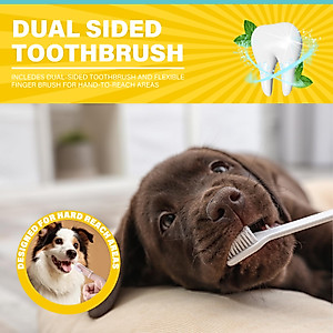 GJYC PET Dog Oral Care Kit - Contains Dog Toothpaste, Dual-Headed Toothbrush, Silicone Finger Brush - (1.4 fl. oz) Fresh Breath, Healthy Gums!