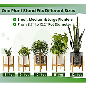 ZPirates Plant Stand Indoor - Bamboo Wood, Full Adjustable, Holds 8 10 and 12 Inch Planter Pots - Holder for Plants and Flowers