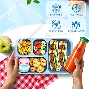 TEVIKE Bento Lunch Box for kids-4 Pack, Meal Prep Container Microwave Safe, Lunch Box of 4-Compartment, Bento Box Adult Lunch Box, Snack Box Containers (White/Green/Pink/Cyan)