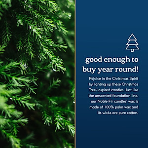 Paraffin-Free Scented Candle in Gold Tin, Vegan Palm Wax Candles, Spicy & Christmassy Scented Candles, Holiday or Birthday Gifts for Women & Men, 30-Hour Burn Time, 6 oz - GoodLight (Noble Fir)