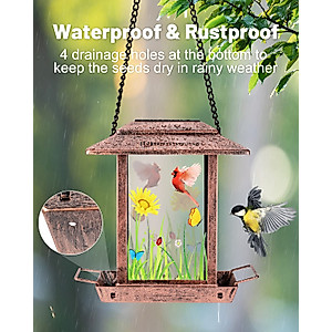 DesGully Bird Feeders for Outdoors Hanging - 2.5 LBs Wild Birds Metal Solar Bird Feeder for Outside Gift Ideas for Bird Lovers Garden Yard Bird Seeds (Chew-Proof,Weather Resistance)