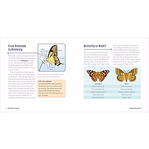 Butterflies for Kids: A Junior Scientist's Guide to the Butterfly Life Cycle and Beautiful Species to Discover