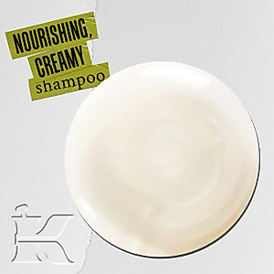 Kiehl's Nourishing Olive Fruit Oil Shampoo, Moisturizing Hair Shampoo for Dry & Damaged Hair, Leaves Hair Soft and Shiny, Restores Shine, with Avocado Oil & Lemon Oil - 16.9 fl oz