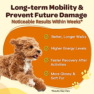 Glucosamine for Dogs - Joint Supplement for Dogs, Chondroitin, MSM, Turmeric, Omega 3 for Dogs, Support Hip and Joint Mobility - Dog Joint Pain Relief, Dog Joint Supplement Large Breed, 9.52 Oz