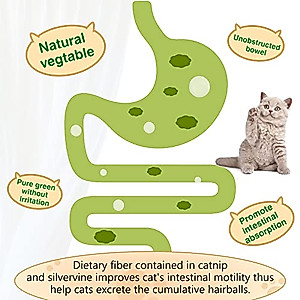 OHALEEP Catnip Ball for Cats Wall, 3 Pack Catnip Toys, Edible Kitty Toys for Cats Lick, Safe Healthy Kitten Chew Toys, Teeth Cleaning Dental Cat Toys, Cat Wall Treats (Grey) (Green)