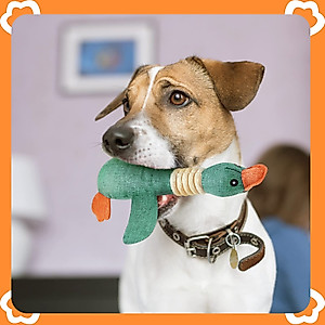 2 Pcs Dog Toys for Moderate Chewers Mallard Duck Dog Toy Stuffed Dog Squeak Toys Squeaky Goose Puppy Dog Training Toys for Small Medium Dogs, 12 x 6 Inches