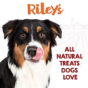 Riley's Cod Skins for Dogs - Air Dried Single Ingredient Dog Treats - Short, Hand Wrapped Cod Skin Dog Treats - Sustainably Caught in Iceland - 3 Pack 5 inch Chew Sticks