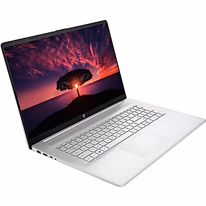 HP [Windows 11 Pro] 17.3" HD Touchscreen Business Laptop, AMD Ryzen 5-5500U, 16GB RAM, 512GB SSD, HDMI, WiFi, Type-C, Full-Size Keyboard, Numeric Keypad, Long Battery Life