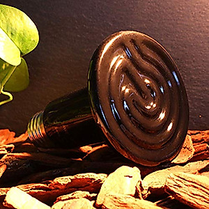 Lucky Farm Reptile Heating Lamp Bulb 2pcs Amphibian Ceramic Infrared Heat Lamp Emitter with no Light for Brooder Chicken Coop ,Hedgehog, Iguana Lizard Bearded Dragon Turtle Snake(Black, 100W)