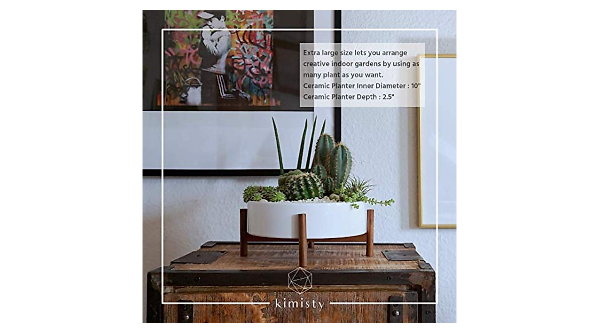 Kimisty 10 Inch Succulent Planter with Wood Stand