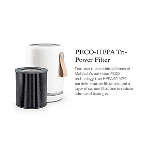 Molekule Air Purifier Bundle with Air Pro (1000 sq ft) and Air Mini+ (250 sq ft)