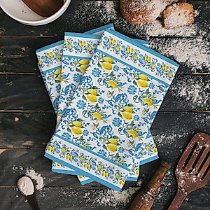 Kitchen Towels Set Lemon Watercolor Tea Towel Microfiber Absorbent Washable Blue White Flower 3 Pack 18x28 Inches Absorbent Soft Cotton Dish Cloths Bar Towels & Tea Towels