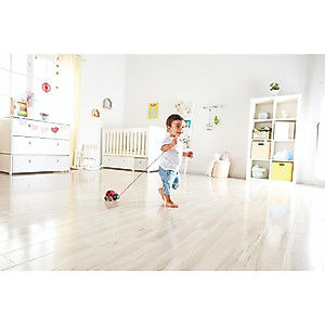 Hape Ladybug Pull-Along | Easy Pull Flapping Wooden Toddler Toy, Multi-Color
