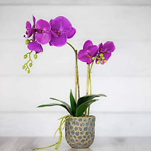 QUI-LO Perennial Gardens 18"-22" H Artificial Orchid Flowers, Fake Orchid, Artificial Orchids, Faux Orchid, Silk Orchids, Fake Flowers, Orchids Artificial Flowers (Rose)