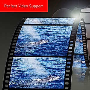 PANASONIC LUMIX G LEICA DG VARIO-ELMAR PROFESSIONAL LENS, 100-400MM, F4.0-6.3 ASPH., MIRRORLESS MICRO FOUR THIRDS, POWER OPTICAL I.S., H-RS100400 (USA BLACK)