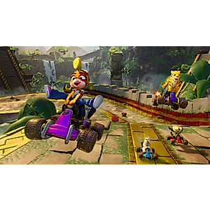 Crash™ Team Racing Nitro-Fueled (PS4)