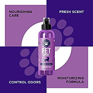 Lavender Oil Dog Deodorizing Spray - Dog Spray for Smelly Dogs and Puppies and Dog Calming Spray with Lavender Essential Oil - Lightly Scented Dog Deodorizer for Smelly Dogs and Dog Essentials