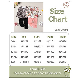 18 Months Girl Clothes Toddler Baby Girl Outfits Floral Shirt Top Pink Pants Fall Winter Little Girl Clothes 2T Outfit for Girl 18-24 Months