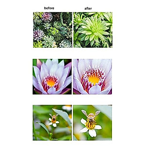 Phone Camera Lens, Universal 15X Macro Lens Kit with LED Light and Travel Case, Clip on Cell Phone Lens Attachments for Most Smartphones, for Video, Live Show, Vlog, Photography