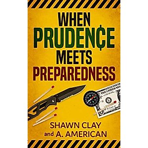 When Prudence Meets Preparedness