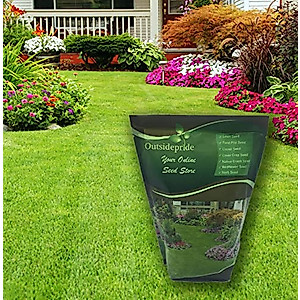 Outsidepride Oasis Warm Season, Fast Growing Bermuda Lawn, Turf Grass Seed - 5 LBS