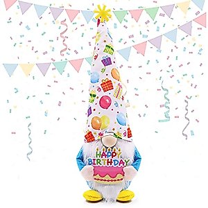 Birthday Gnomes Farmhouse Happy Birthday Tomte Plush Birthday Gifts Handmade Scandinavian Party Hat Nisse Home Ornaments Elf Dwarf Collections Kitchen Tiered Tray Decorations