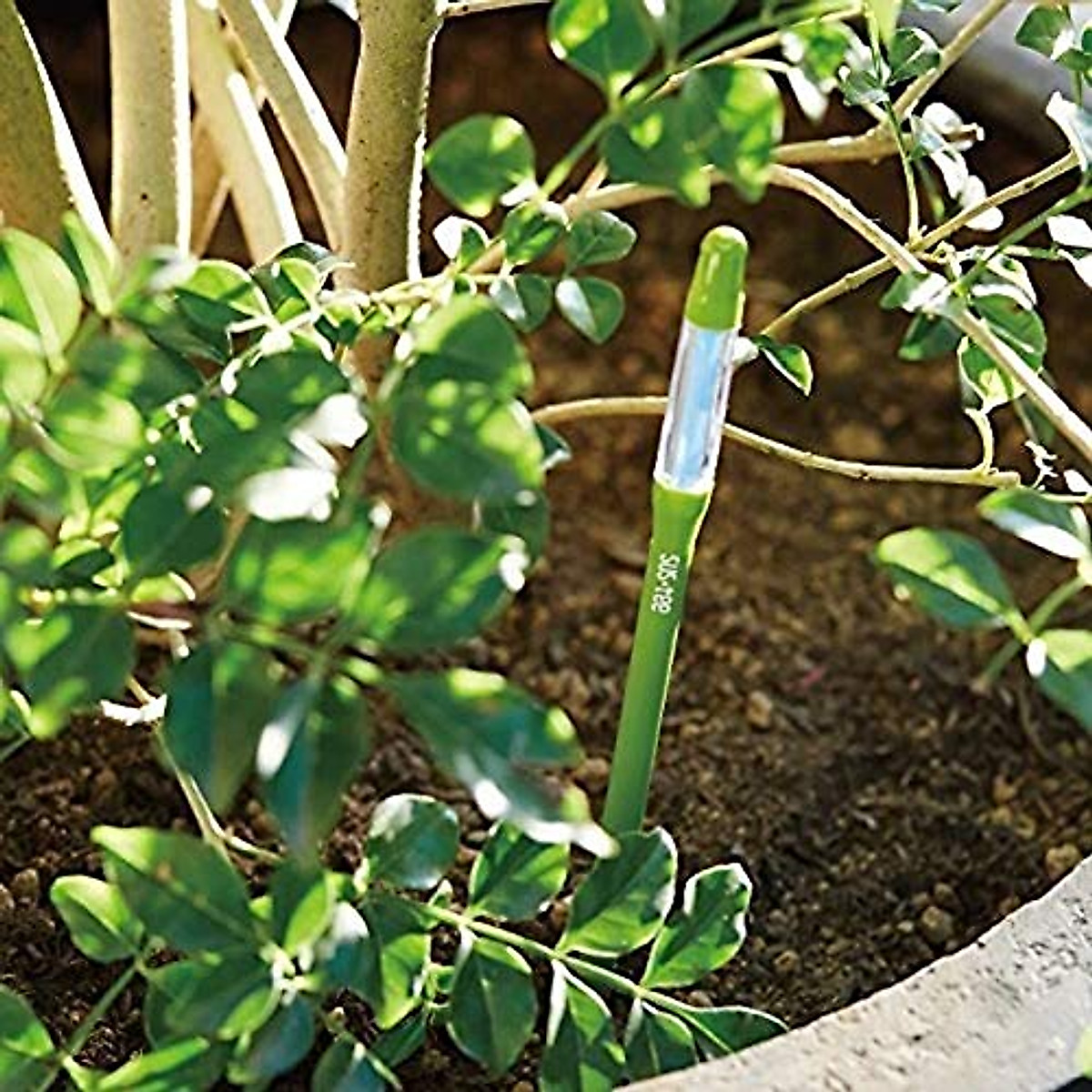 IPPINKA Sustee Aquameter, Set of 4, Plant Soil Moisture Sensor (Green, Medium)