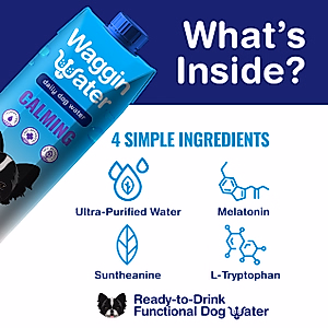 Waggin Water Calming Fortified Water Supplement for Dogs - Promotes Calming, Healing, and Relaxation with Melatonin - Flavorless, 6ct